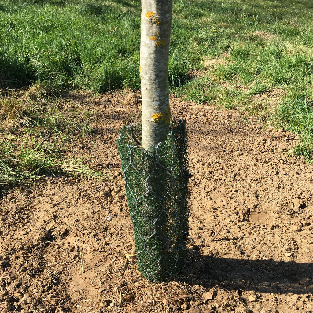 Low-Guard LG1 – Platipus Direct UK