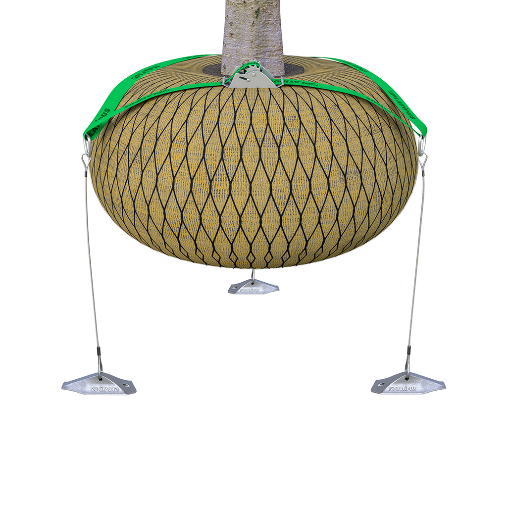 Rootball Fixing System - Strap - RF2S – Platipus Direct UK